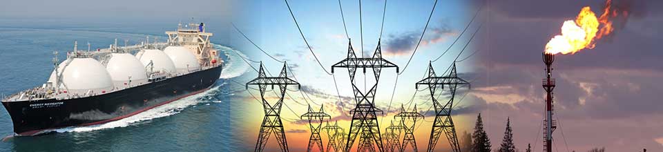 E-Licensing System | Login